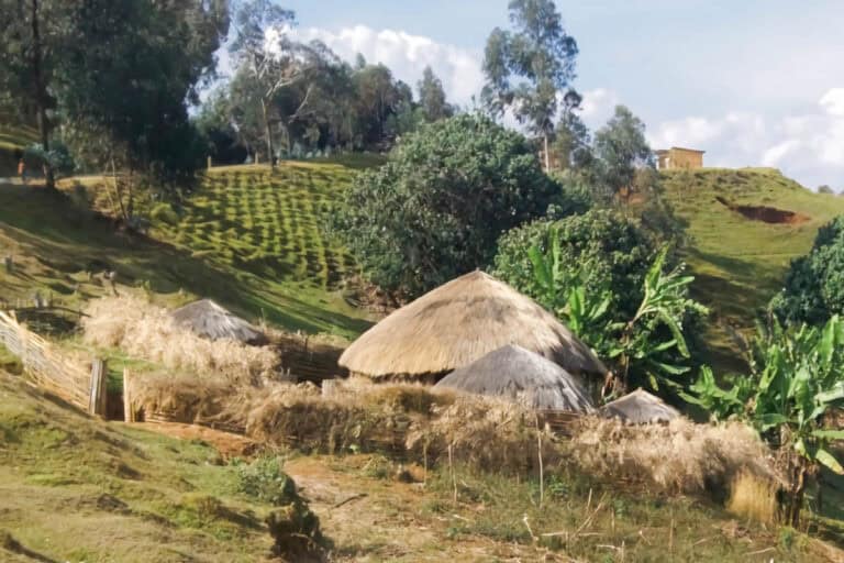 Le rugo : habitat traditionel