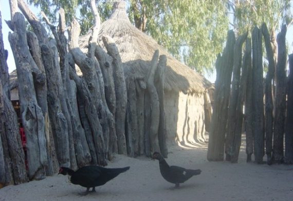 La maison du peuple Ovambo