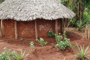 Les maisons rurales en République Démocratique du Congo