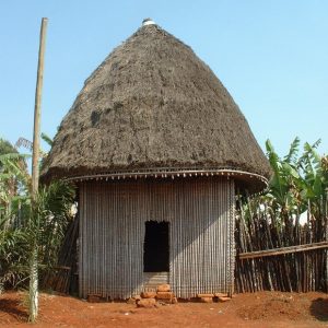 Les cases du peuple Bamiléké