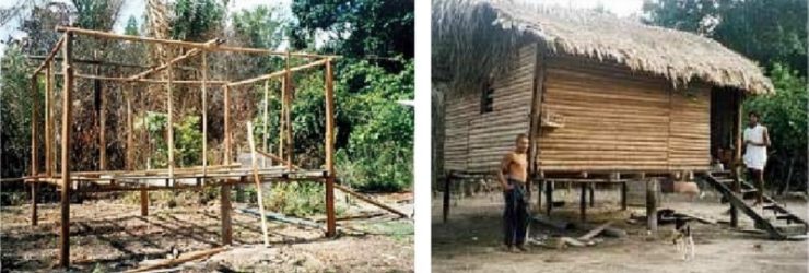 L’ajoupa traditionnel de Trinité-et-Tobago : héritage des amérindiens