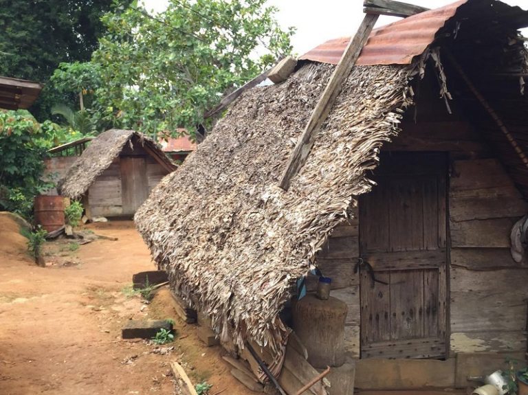Les maisons en bois traditionnelles du peuple Maroon au Suriname