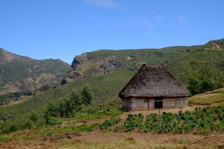 Maisons traditionnelles du Timor Oriental