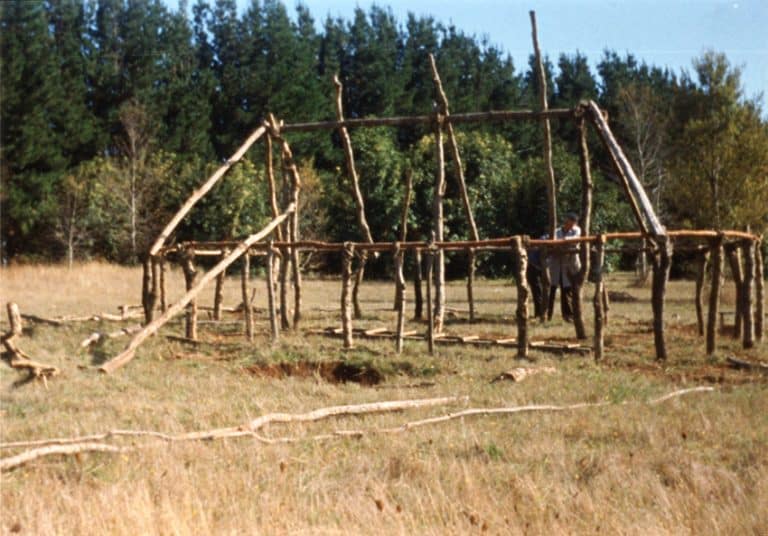 Ruka : la maison traditionnelle du peuple Mapuche au Chili