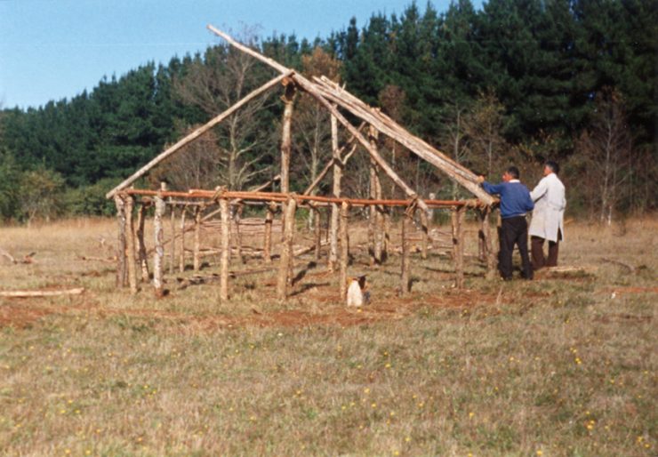 Ruka : la maison traditionnelle du peuple Mapuche au Chili