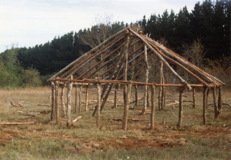 Ruka : la maison traditionnelle du peuple Mapuche au Chili