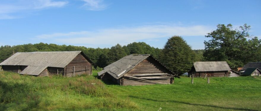 Les maisons en bois de Zervynos